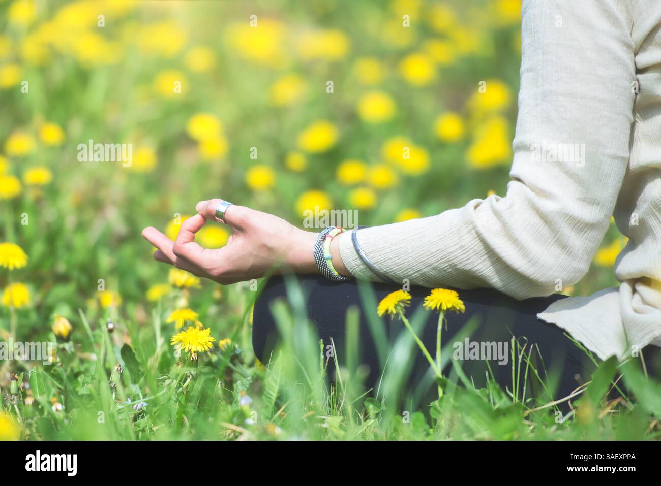 Yoga exercises in the lawn in spring Stock Photo - Alamy