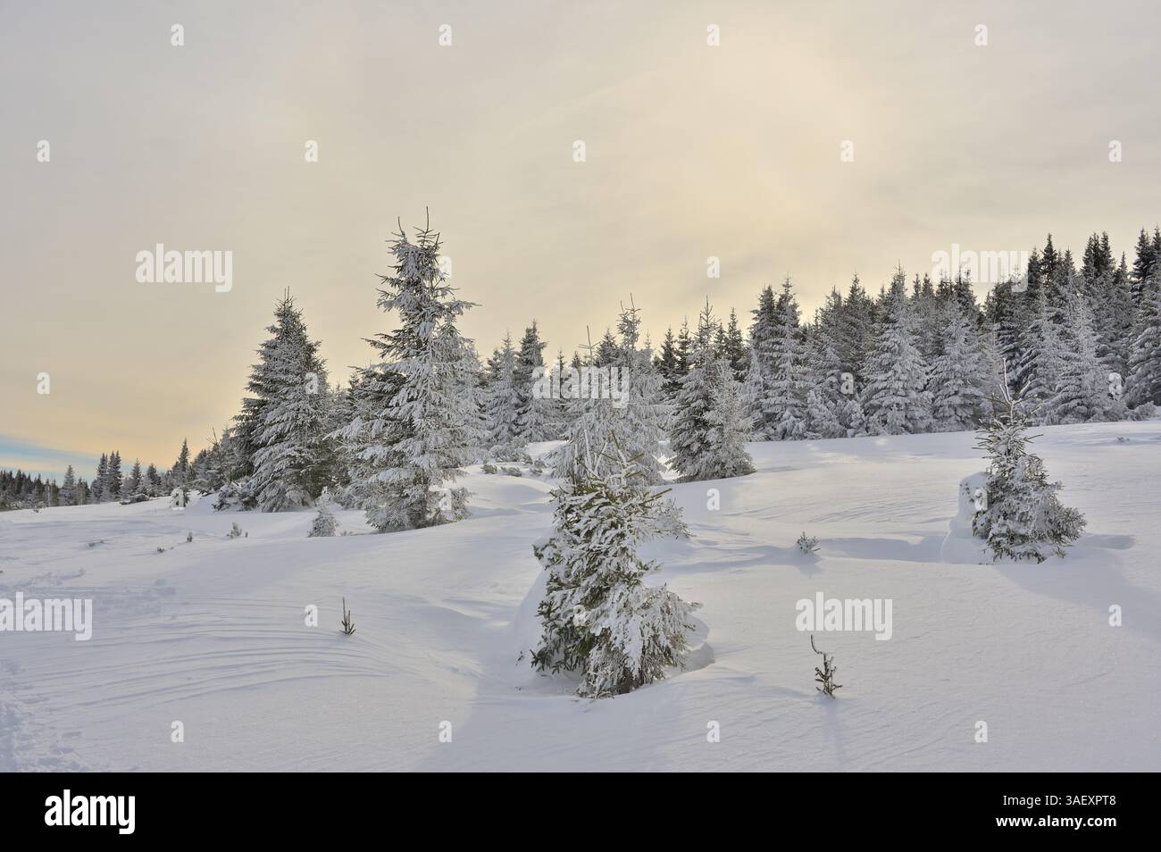 Sahara dust colors sky hi-res stock photography and images - Alamy