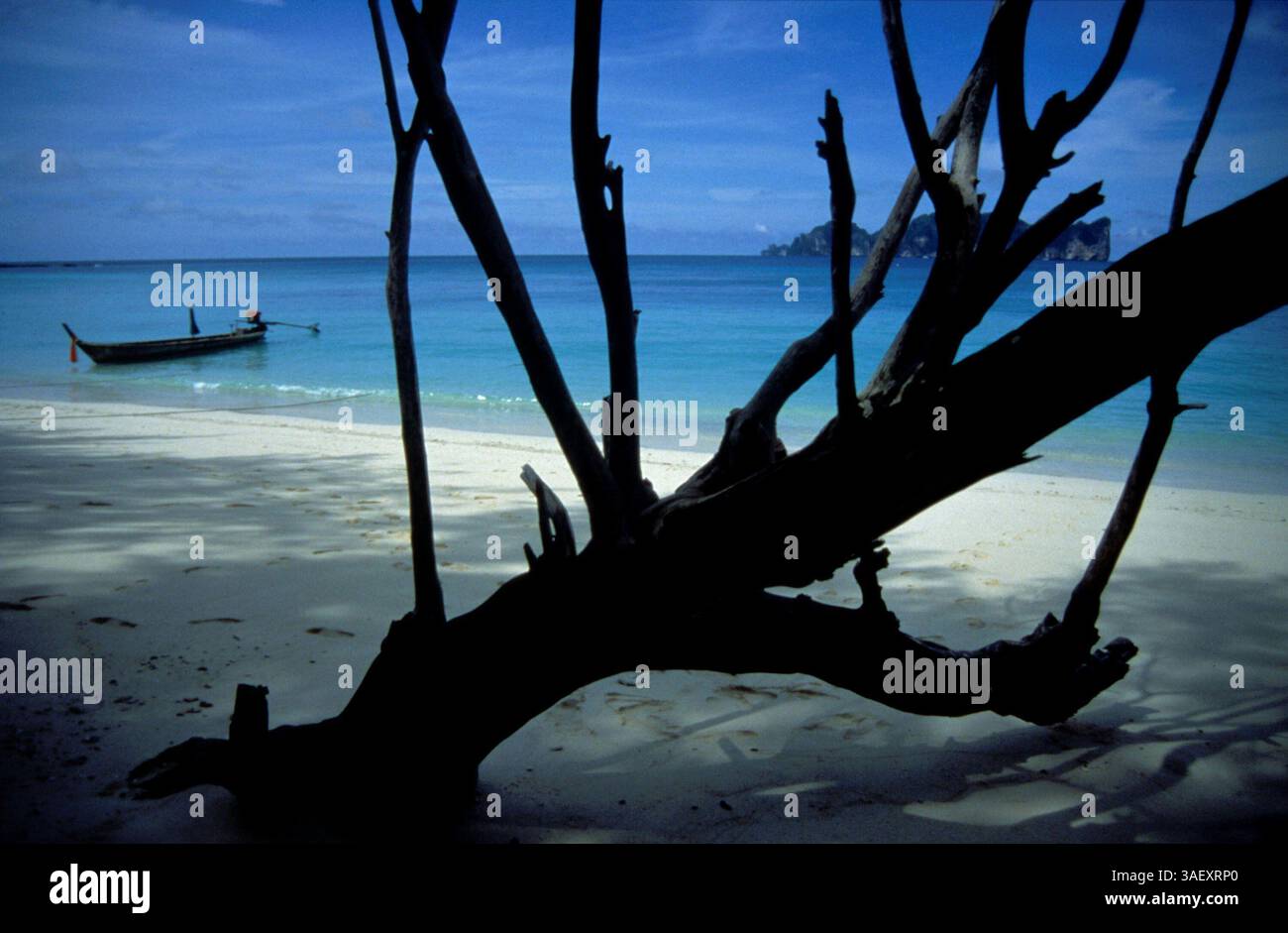 Dec 01, 1999; Kho-PiPi Islands, Thailand; Kho- Pi Pi Islands, Thailand ...