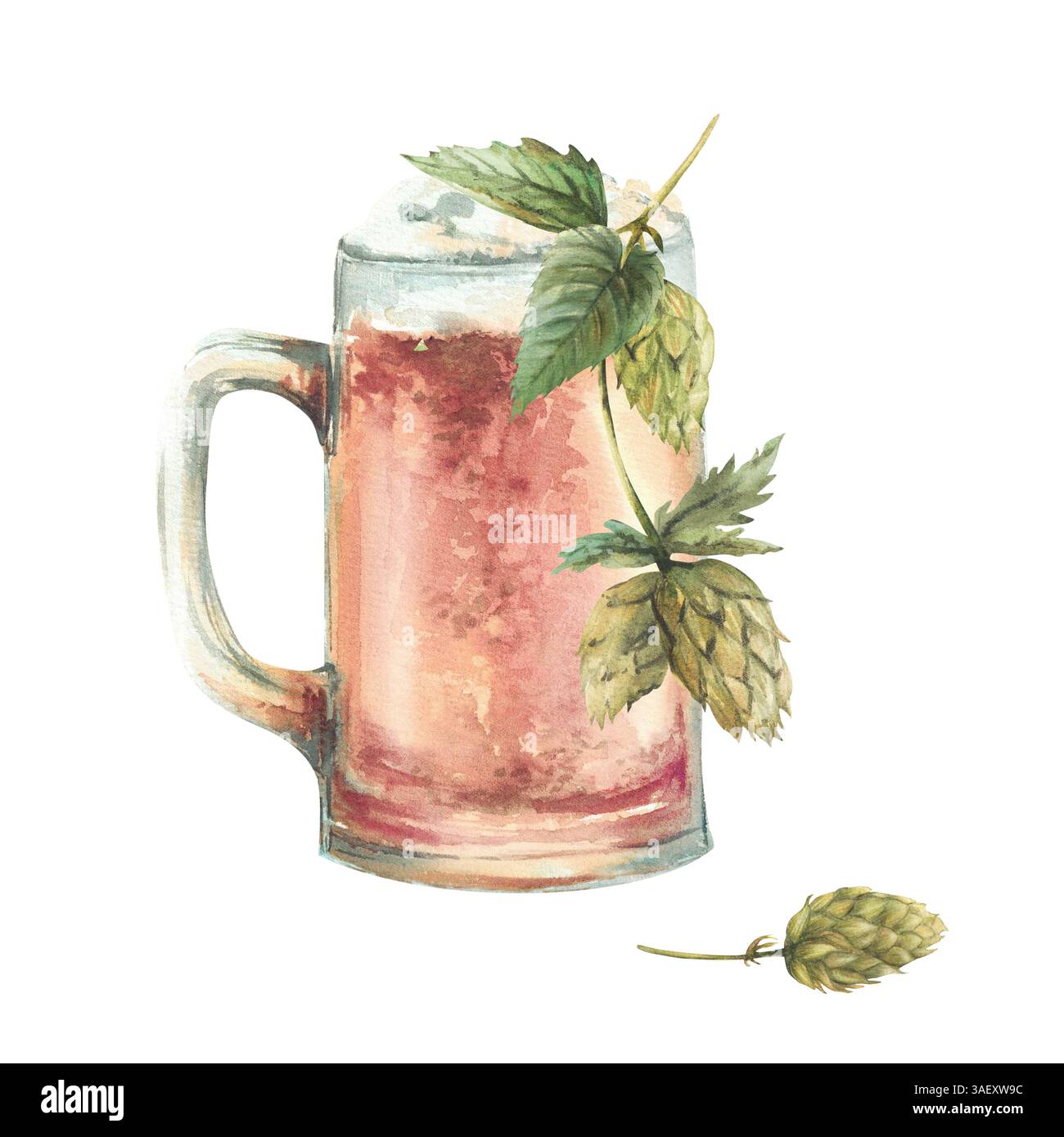 Beer mug with Green hops branch. Watercolor light masses or litre of ...
