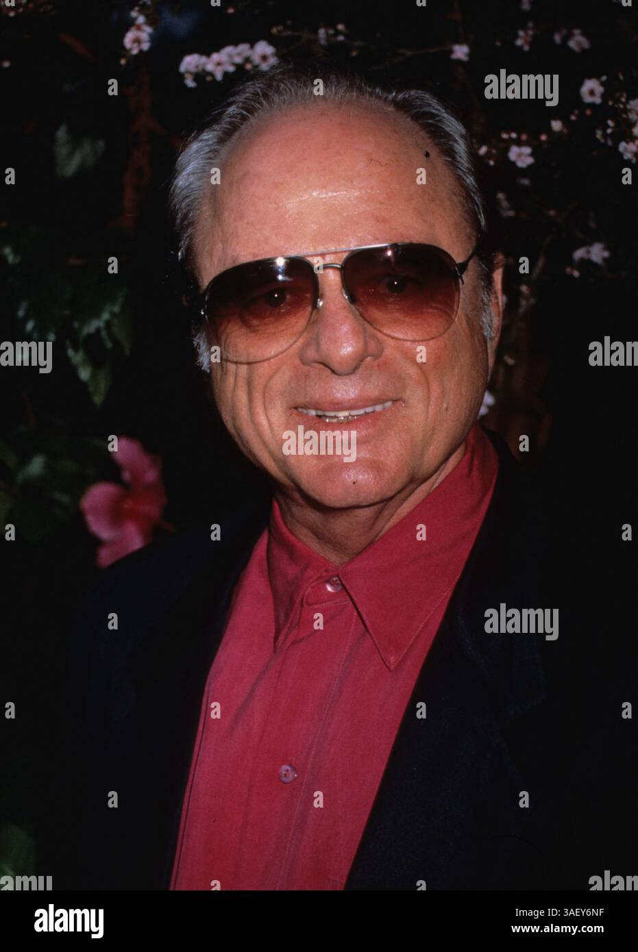 Sep 24, 1996; Los Angeles, CA, USA; Actor HARRIS YULIN at a social ...