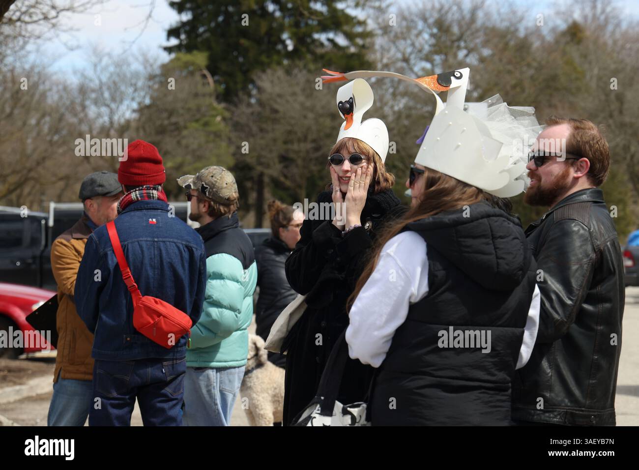 Cursed swans hi-res stock photography and images - Alamy