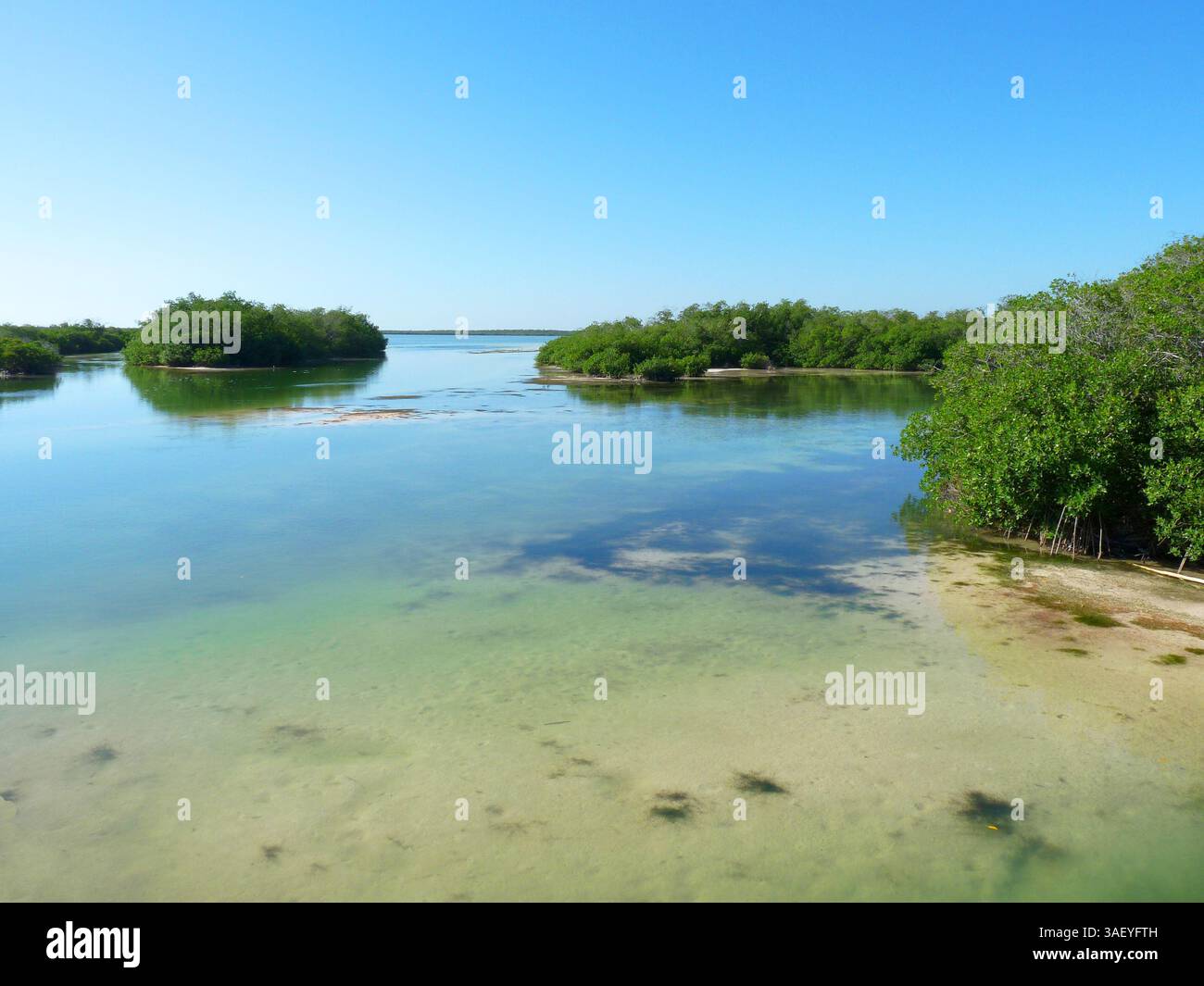 Mexico. Yucatan. Sian Ka'an Biosphere Reserve Stock Photo - Alamy