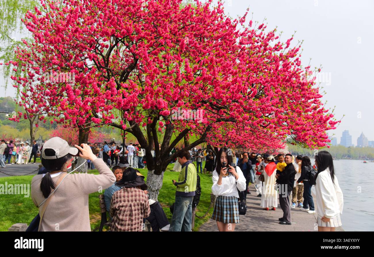 Tourists admire spring scenery at the West Lake scenic area in Hangzhou ...