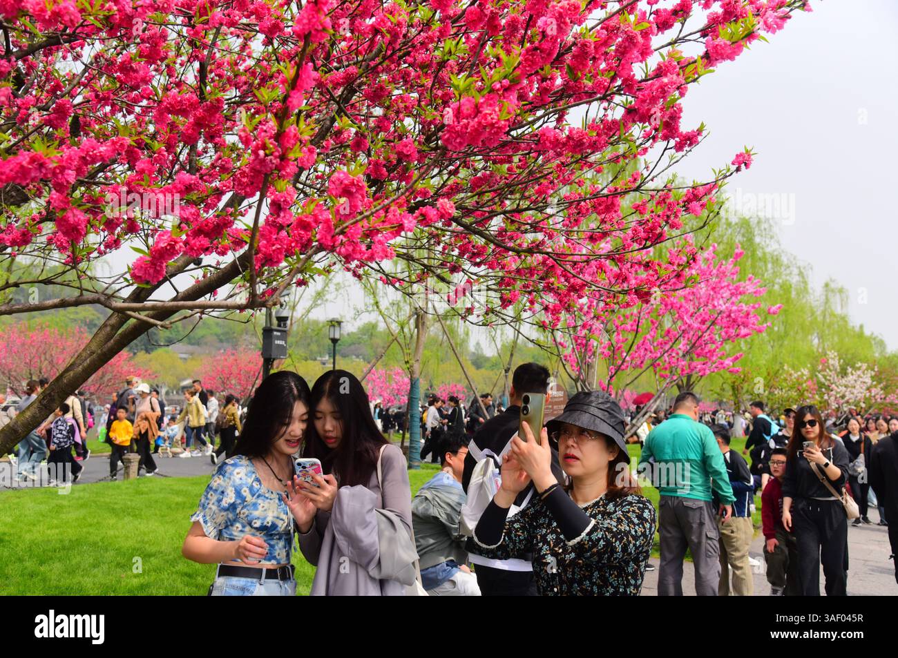 Tourists admire spring scenery at the West Lake scenic area in Hangzhou ...