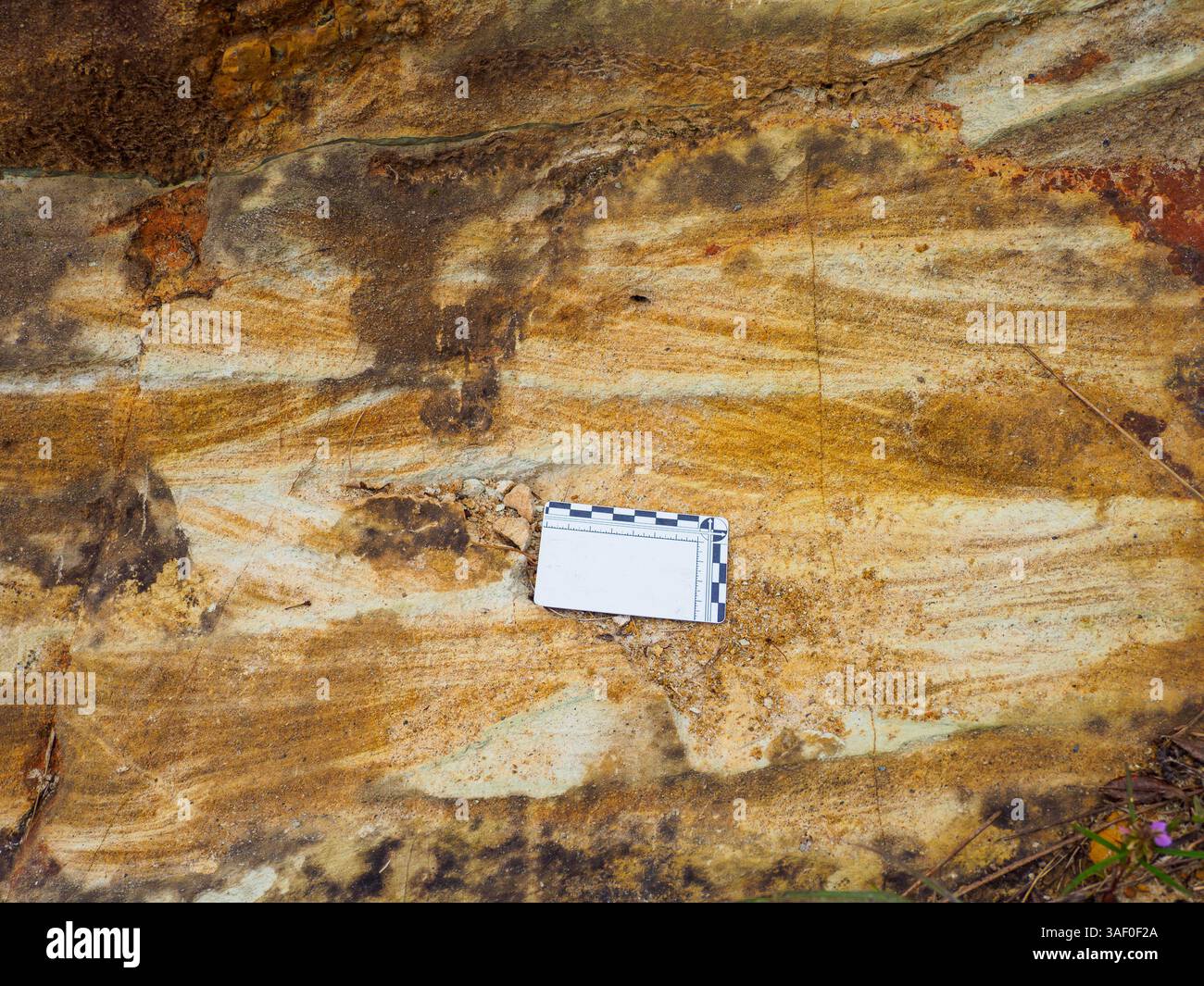 Barbeton GeoTrail, white tidal herringbone sandstones, South Africa ...