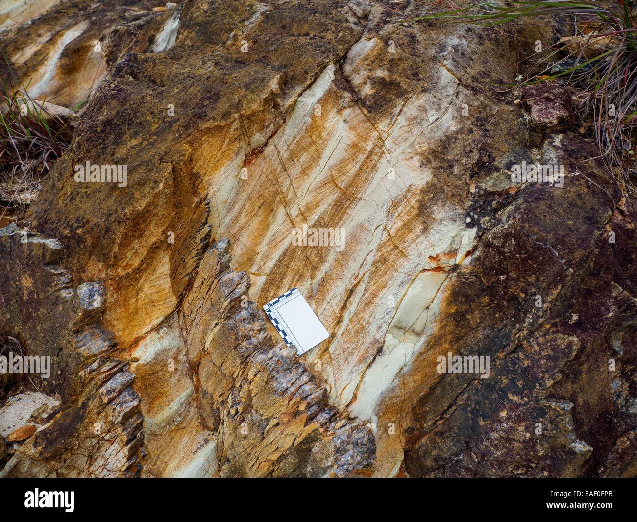 Barbeton GeoTrail, white tidal herringbone sandstones, South Africa ...