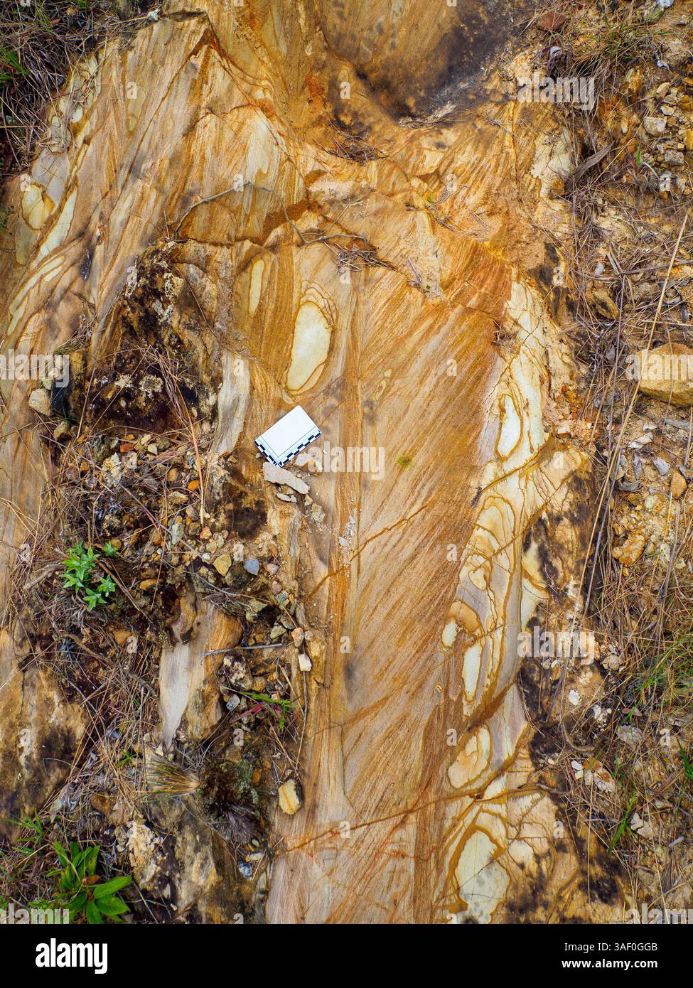 Barbeton GeoTrail, white tidal herringbone sandstones, South Africa ...