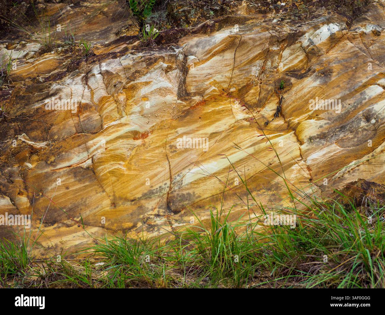 Barbeton GeoTrail, white tidal herringbone sandstones, South Africa ...