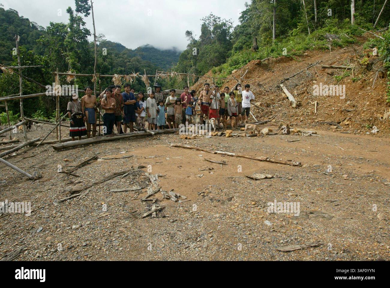 Jun 14, 2002; Sarawak, MALAYSIA; Nomadic Penan forest dwellers blockade ...