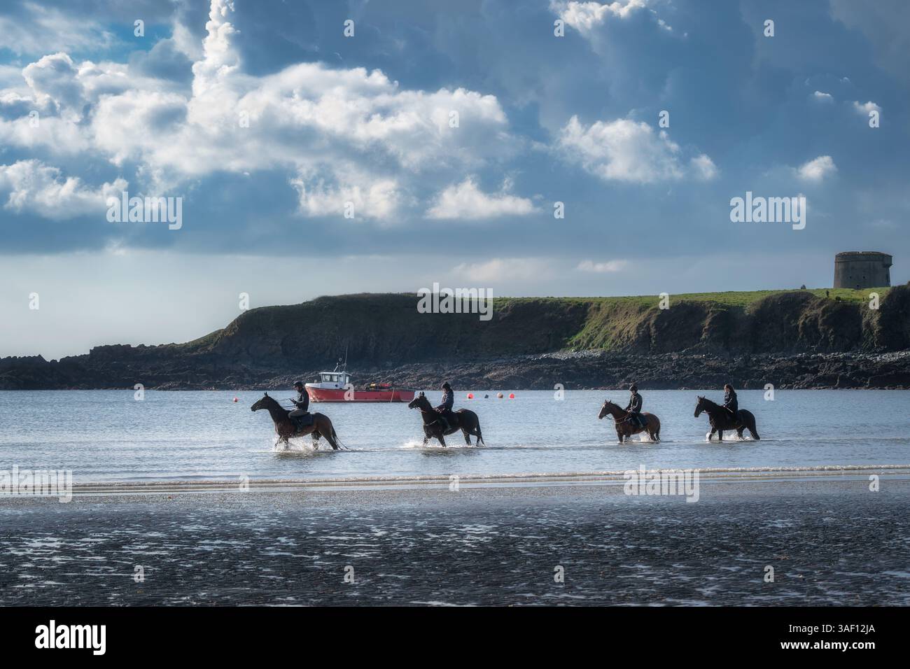 Skilled equestrians hi-res stock photography and images - Alamy
