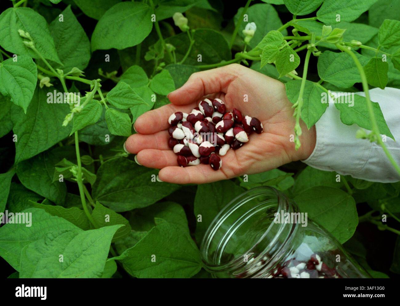 2000 14 01 2001 hi-res stock photography and images - Alamy