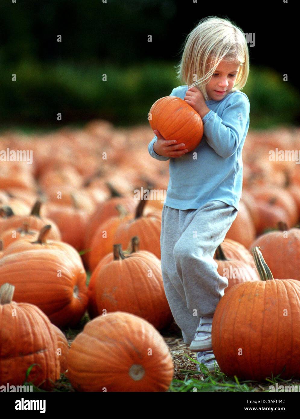 Courtney cannon hi-res stock photography and images - Alamy