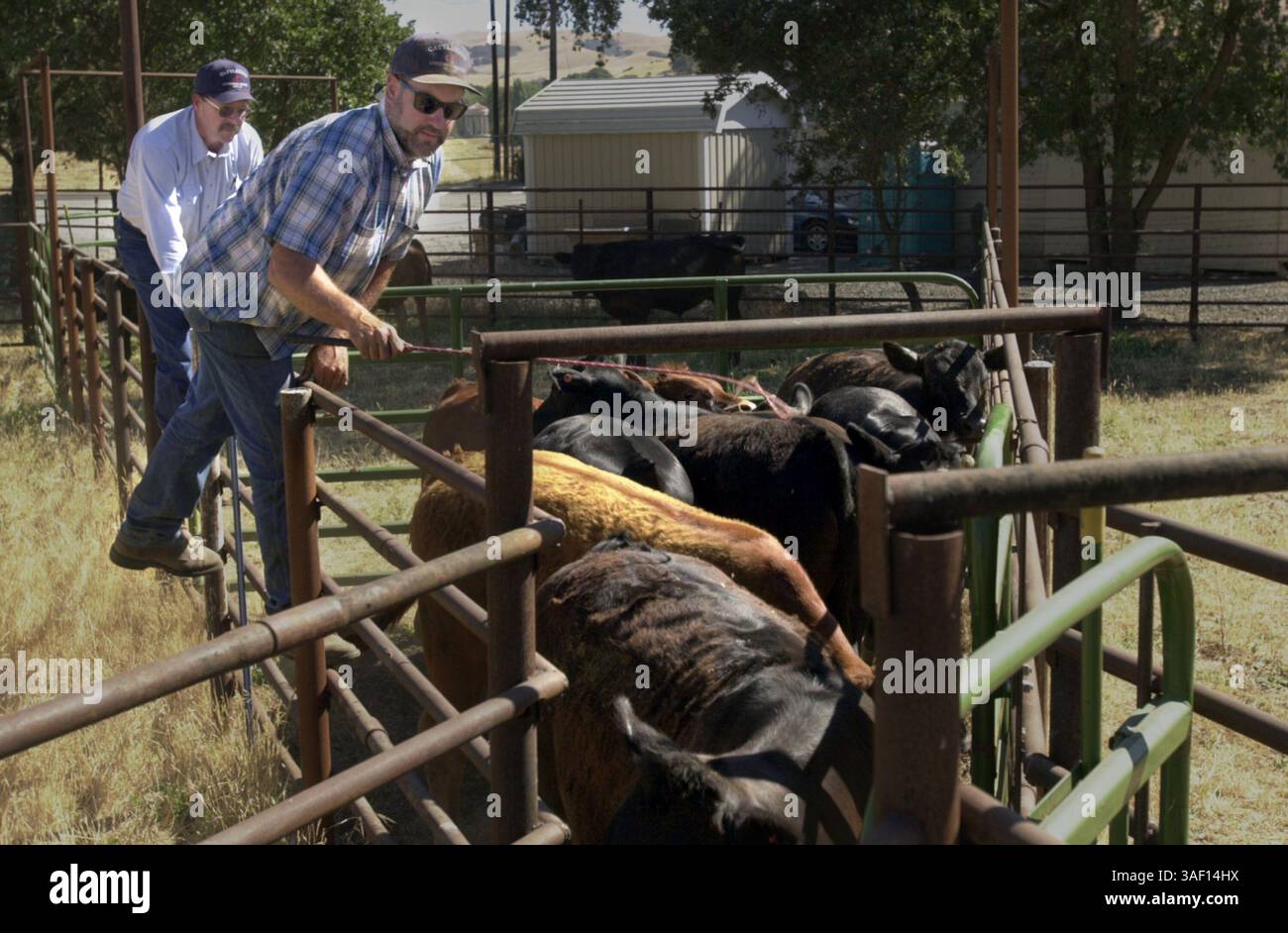Jun 13, 2001; Sunol, CA, USA; (L-R) Tim Koopmann, and David Correia (cq ...