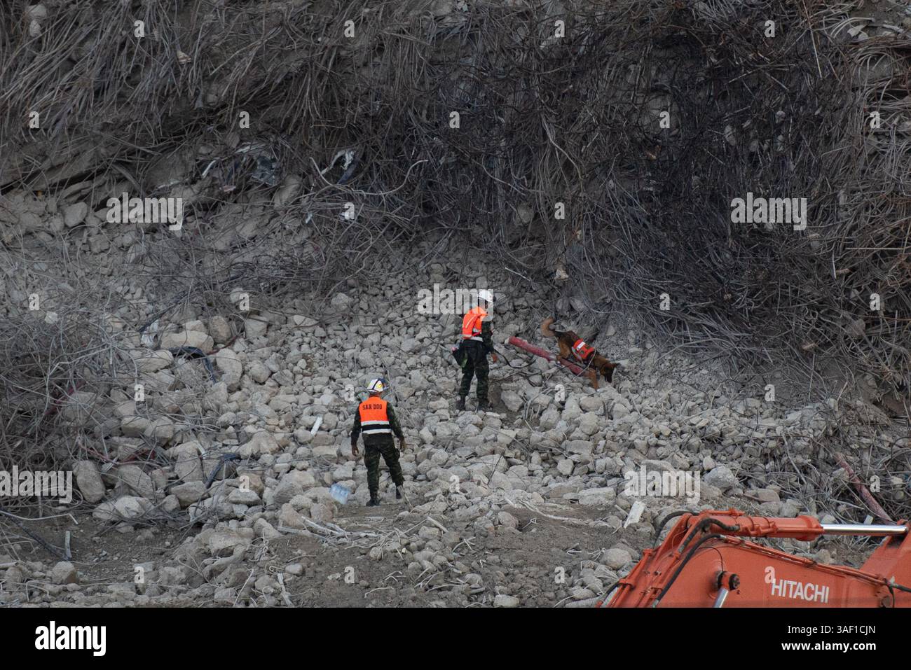 BANGKOK, THAILAND April 07, 2025 - K9 (SAR DOG) Join the missionsearch ...