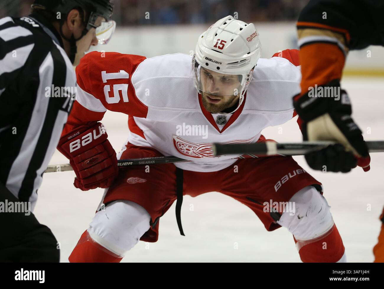 Riley sheahan hi-res stock photography and images - Alamy