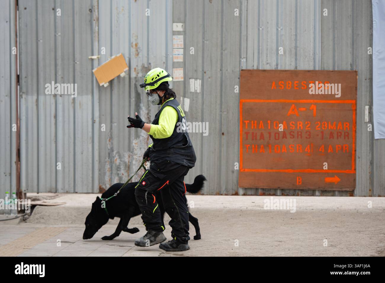 BANGKOK, THAILAND April 07, 2025 - K9 (SAR DOG) Join the missionsearch ...