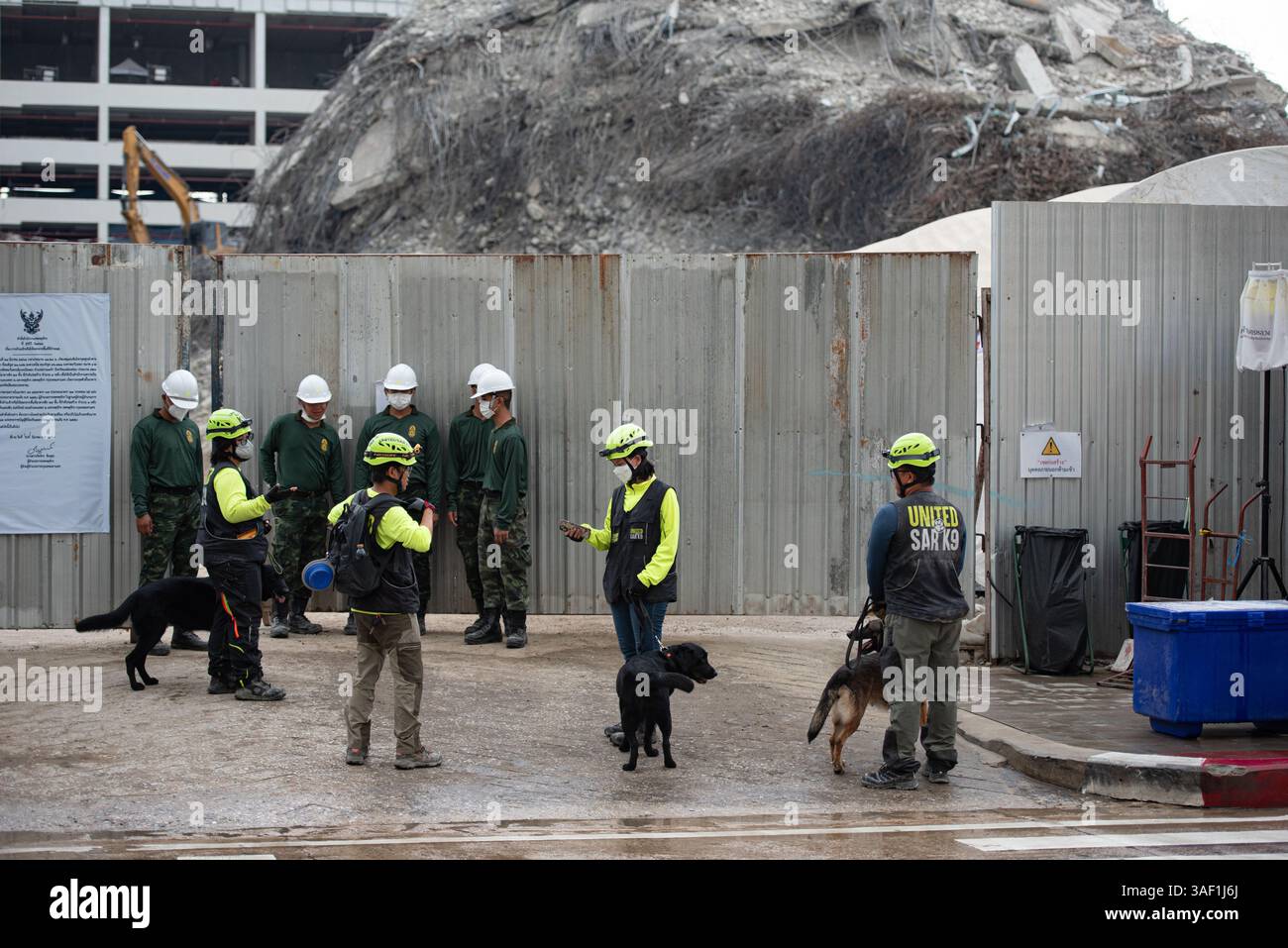 BANGKOK, THAILAND April 07, 2025 - K9 (SAR DOG) Join the missionsearch ...