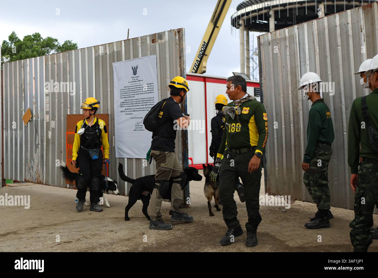 BANGKOK, THAILAND April 07, 2025 - K9 (SAR DOG) Join the missionsearch ...