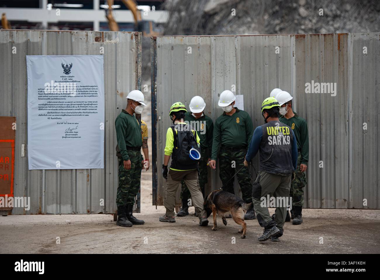 BANGKOK, THAILAND April 07, 2025 - K9 (SAR DOG) Join the missionsearch ...