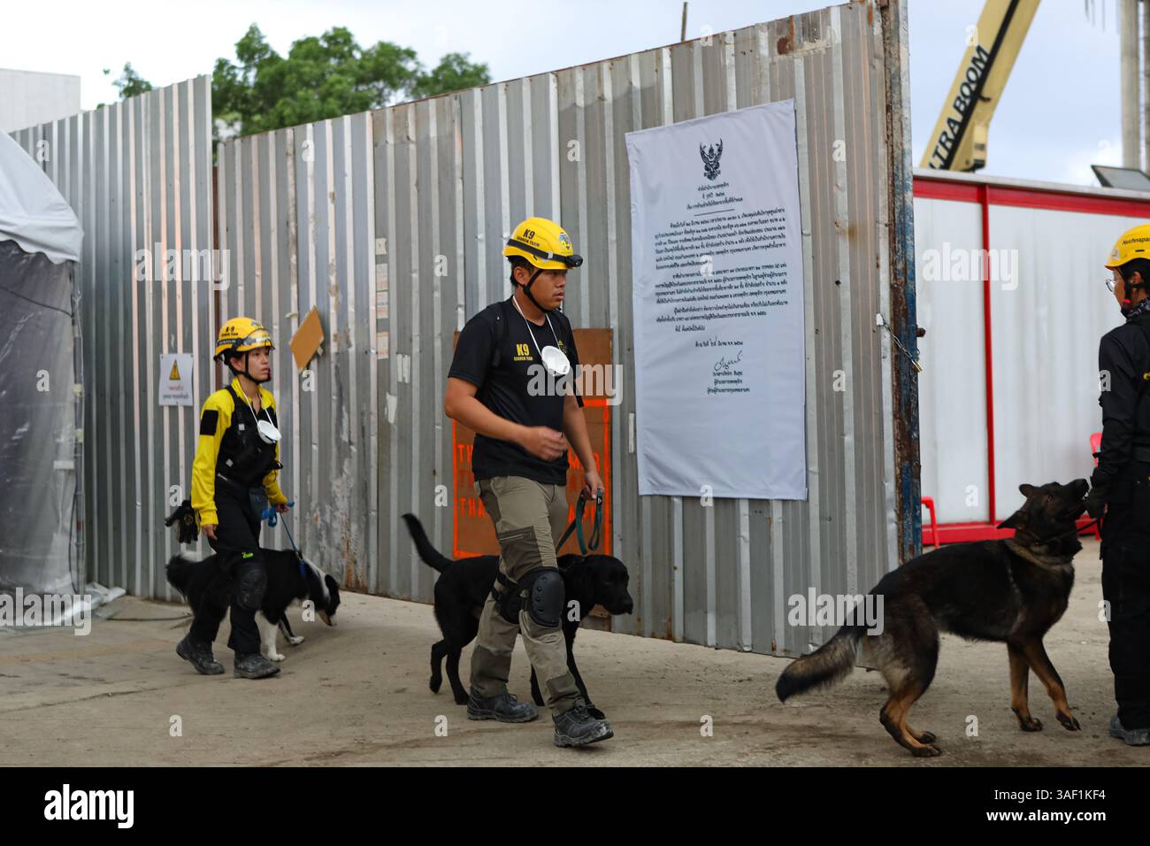BANGKOK, THAILAND April 07, 2025 - K9 (SAR DOG) Join the missionsearch ...