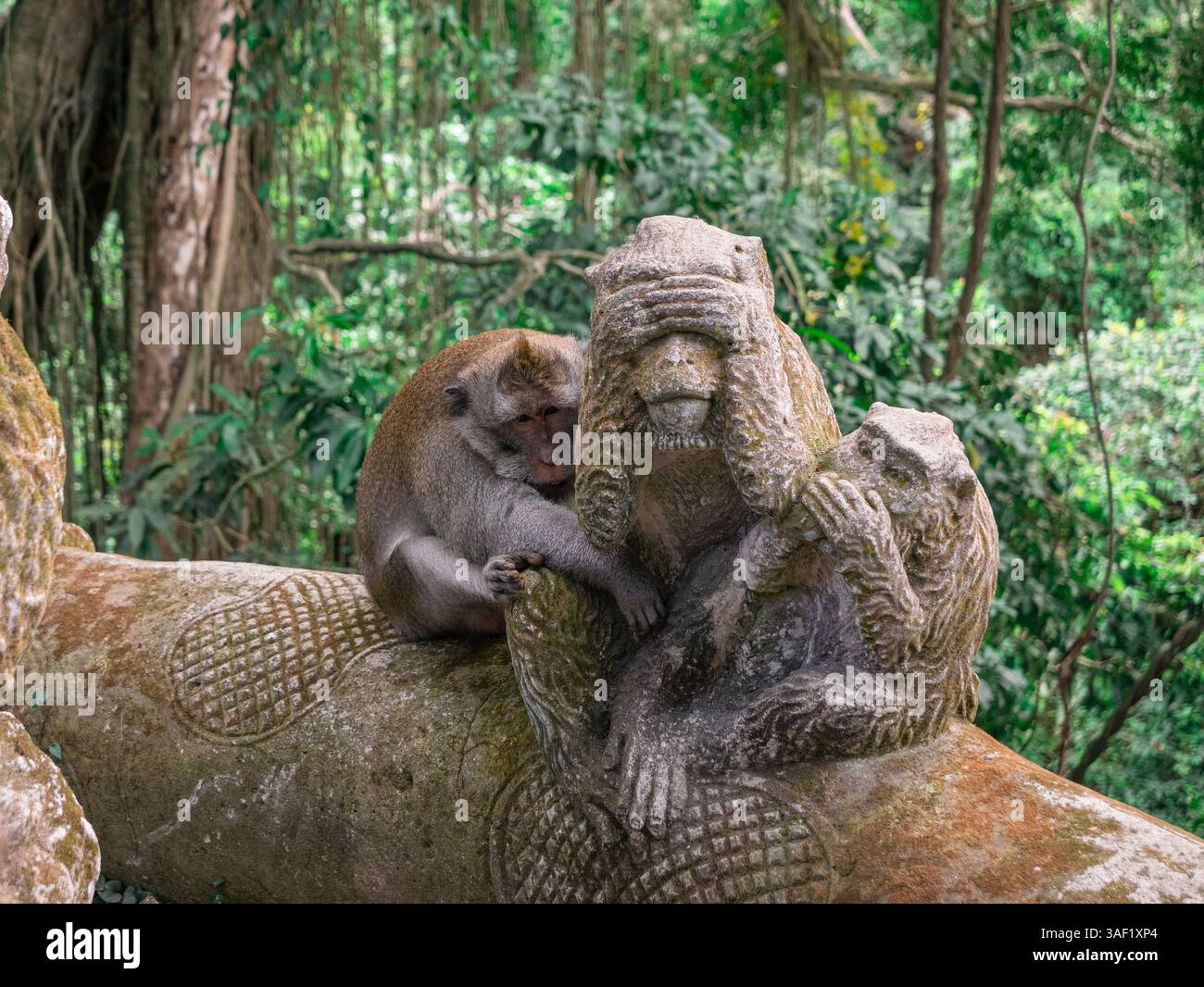 Long-tailed Macaque Hugging Monkey Statue in Ubud Monkey Forest, Bali ...