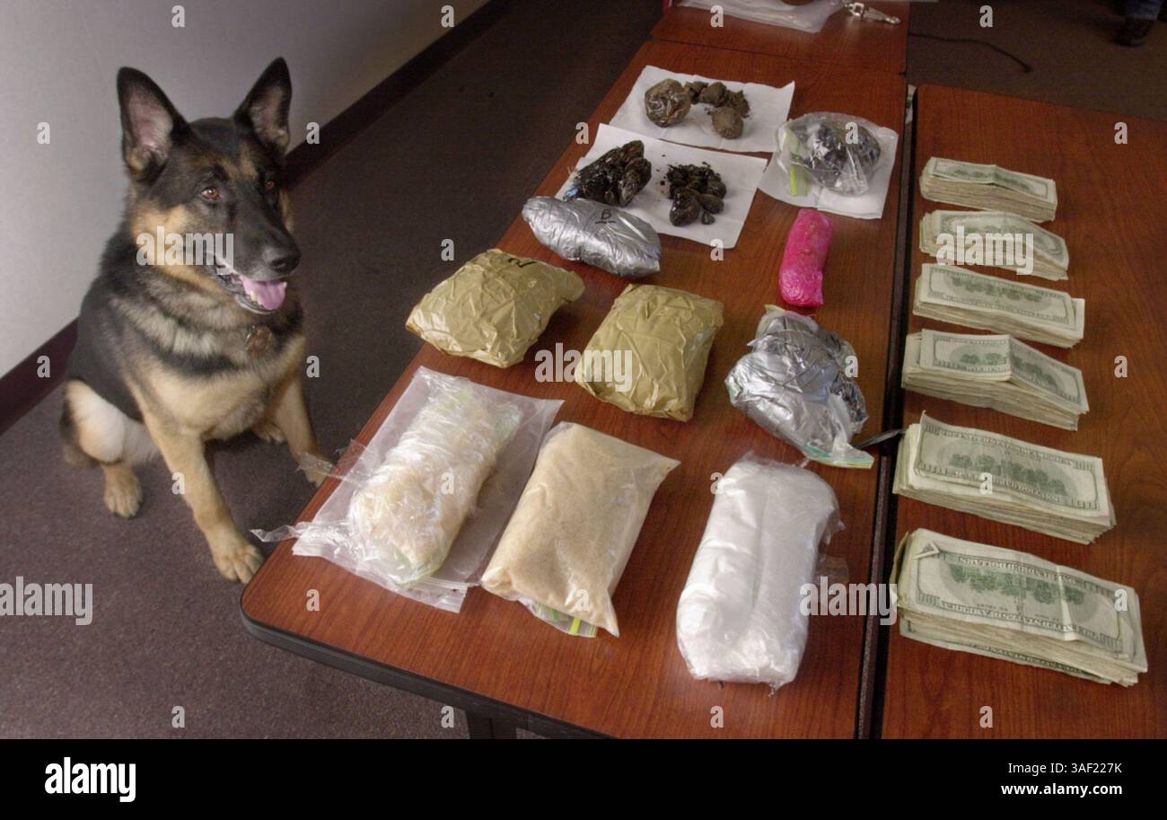 Jun 20, 2001; Bay Point, CA, USA; Pittsburg Police K-9 dog, Bundy ...