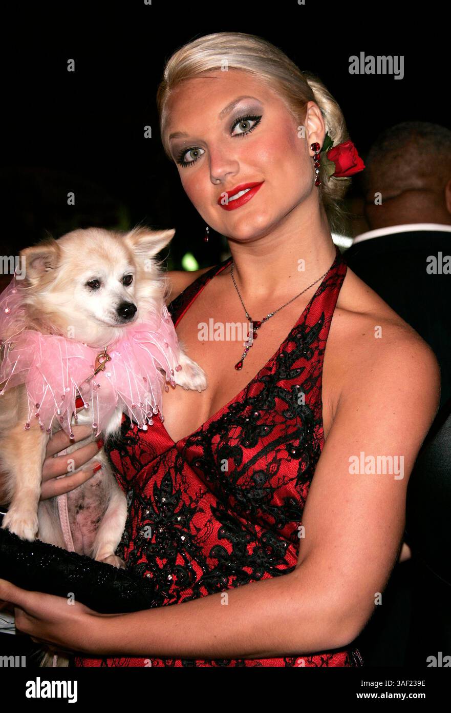 Nov 2, 2005; Hollywood, California, USA; Singer BROOKE HOGAN at the ...