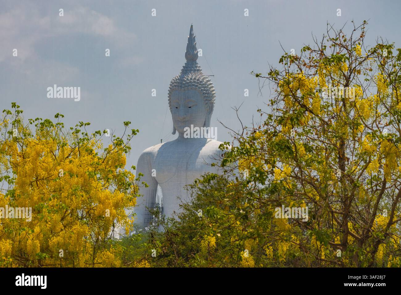 Wat Muang is an old temple in Ang Thong Province. The large Golden ...