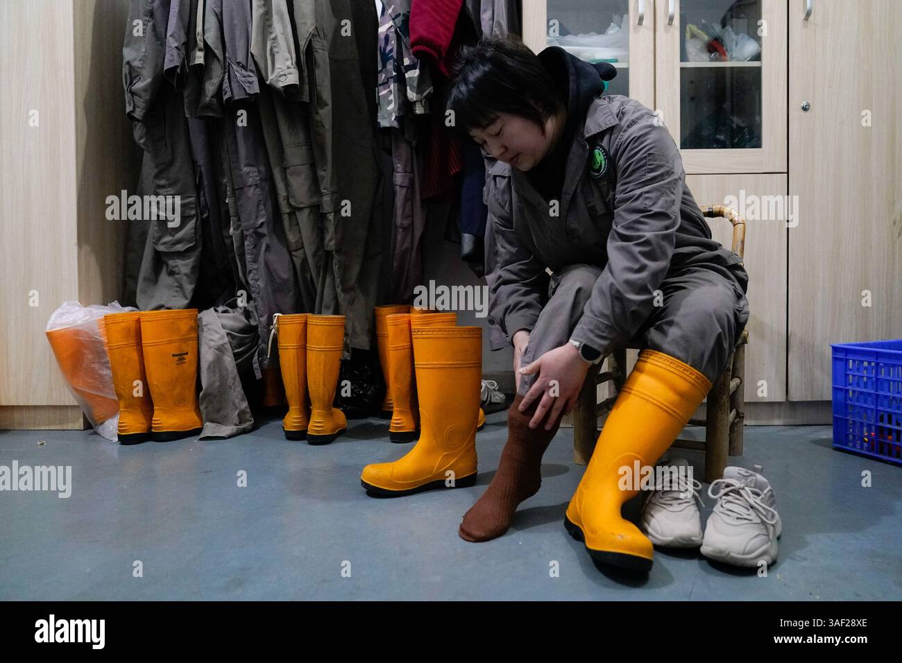 (250407) -- CHENGDU, April 7, 2025 (Xinhua) -- Giant panda keeper Li Rong makes preparations for ...