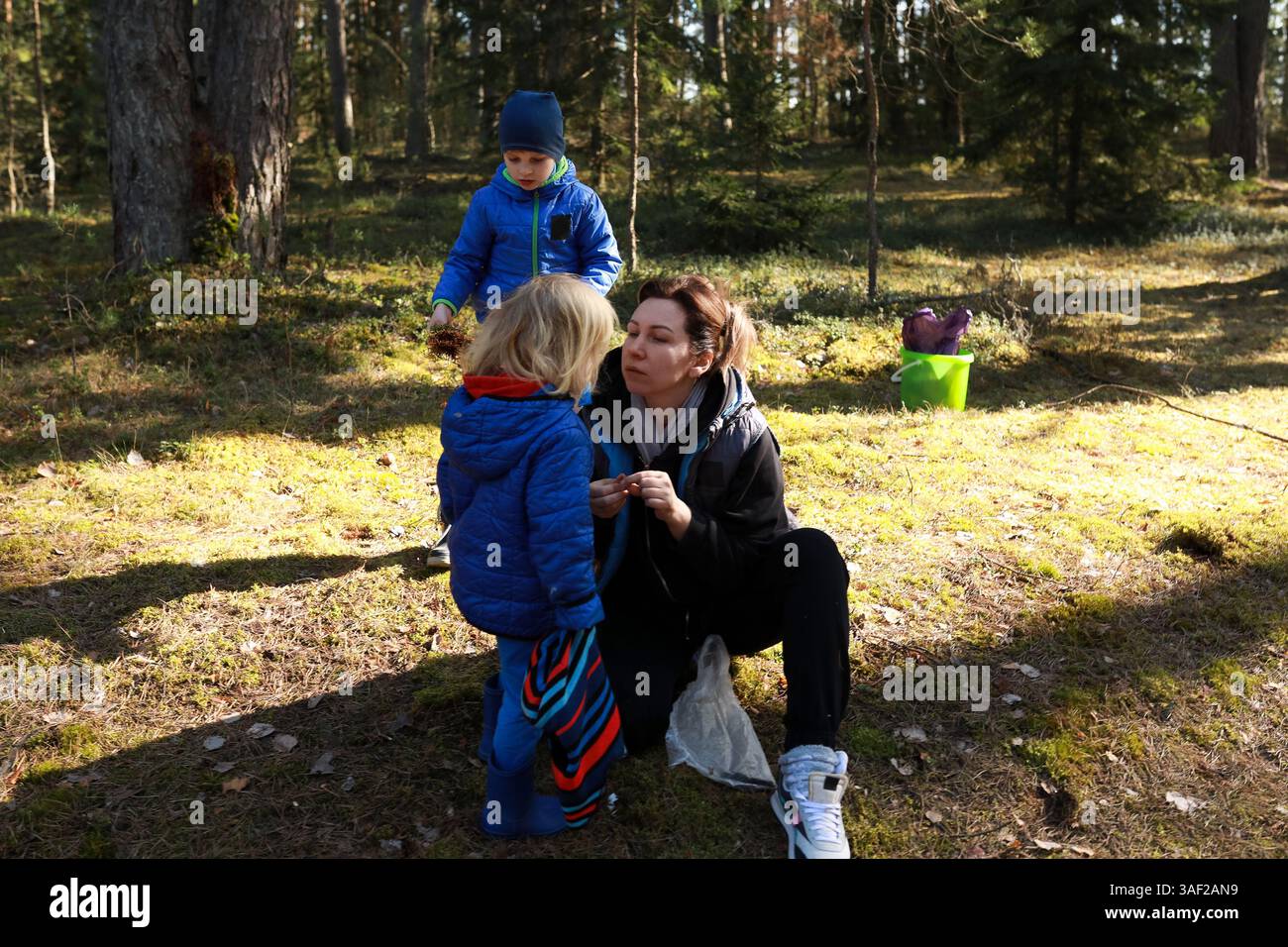 Outdoor family activity in the forest during daytime with children ...