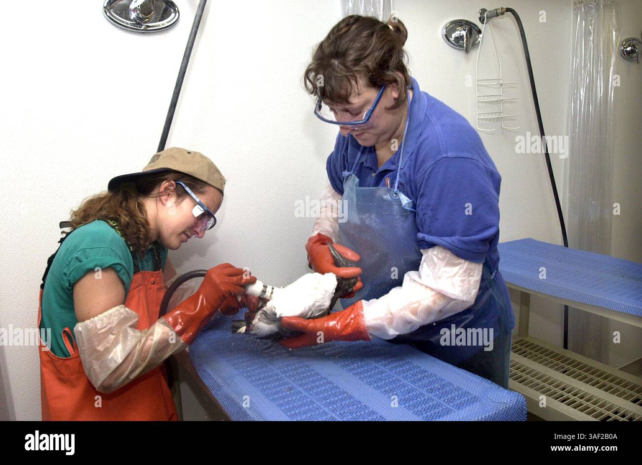 Michelle bellezzi hi-res stock photography and images - Alamy