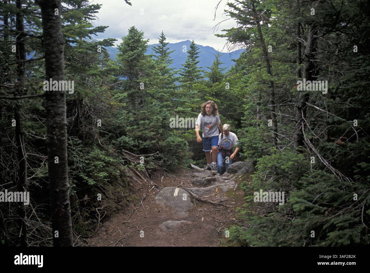 Aug 03, 1999; White Mountain National Forest, New Hampshire, USA ...