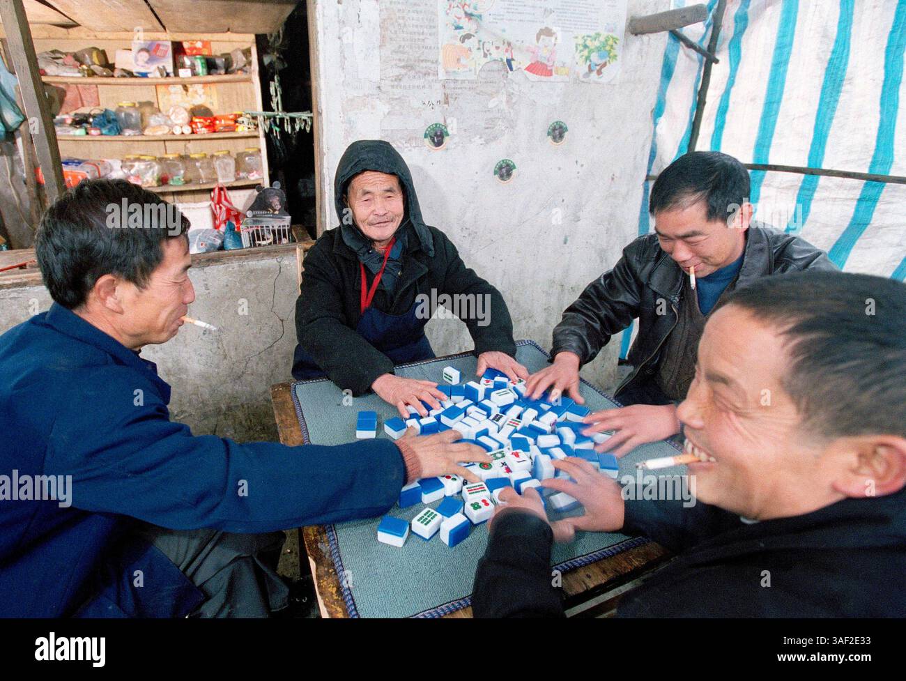 Feb 08, 2005; Chengdu, CHINA; 45 Chinese moon bears released from 'Two ...