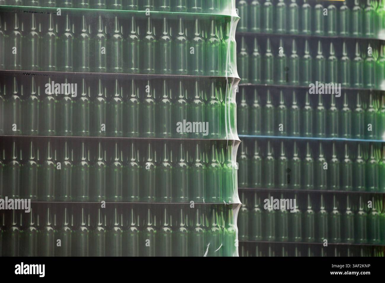 Budweiser Budvar empty green bottles are seen in Budweiser Budvar ...