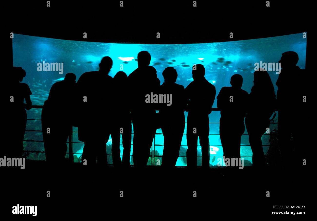 Documentary, Executive Portraiture, Features, Human Interest, Landscape ...