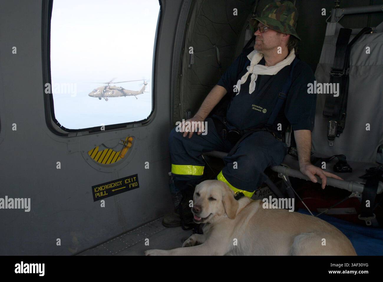 Dec 31, 2004; Phuket, THAILAND; Rescue dog Dandy takes a break ...