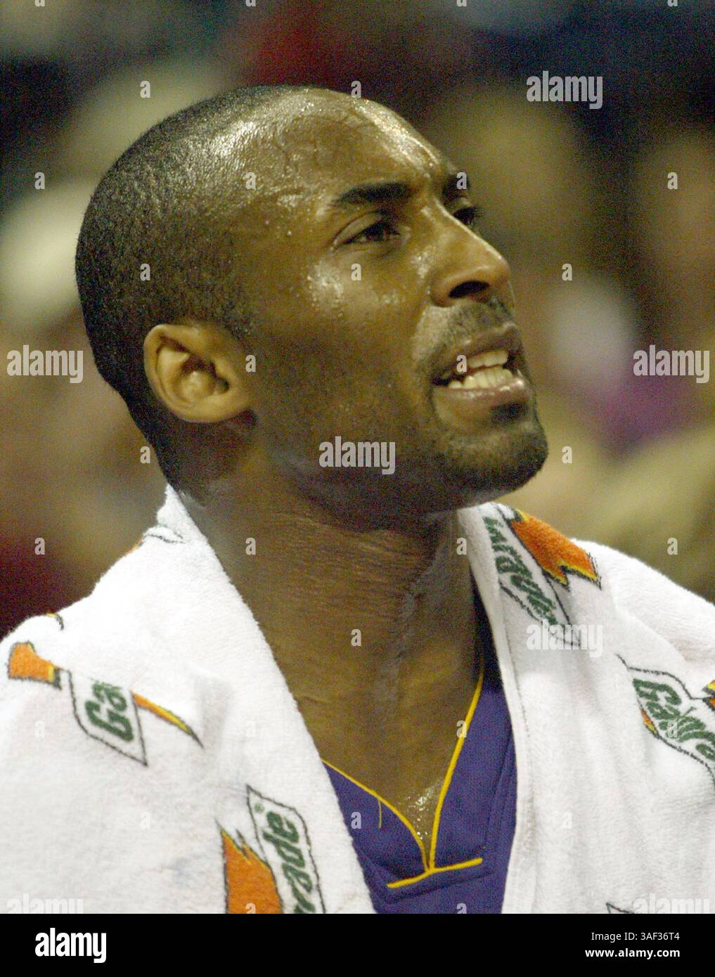 Kobe bryant lakers bench hi-res stock photography and images - Alamy