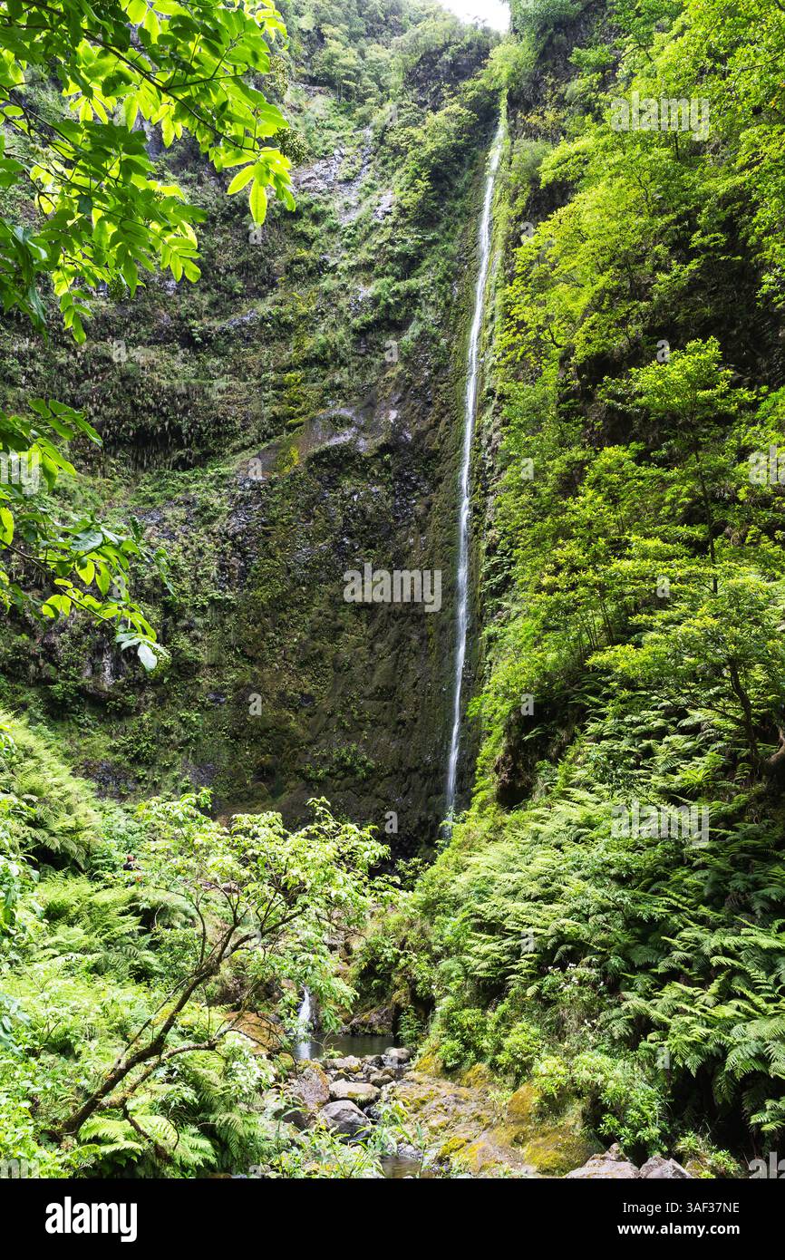 Exploring the Beautiful Flower Valley in Madeira Stock Photo - Alamy