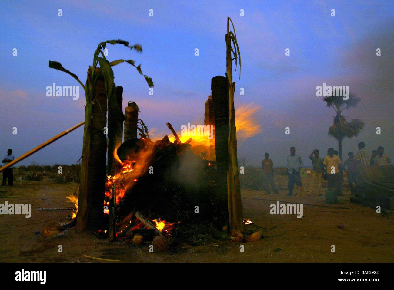 Jan 15, 2005; Akkaraipattu, SRI LANKA; The body of a 78-year woman who ...