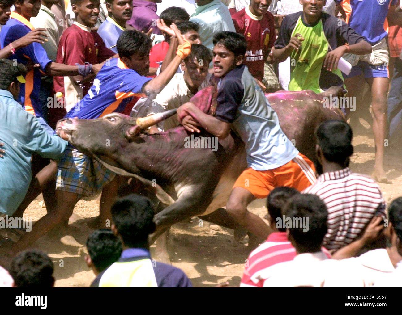 Jan 16, 2005; Alanganallur, Tamil Nadu, INDIA; Young Indian ...
