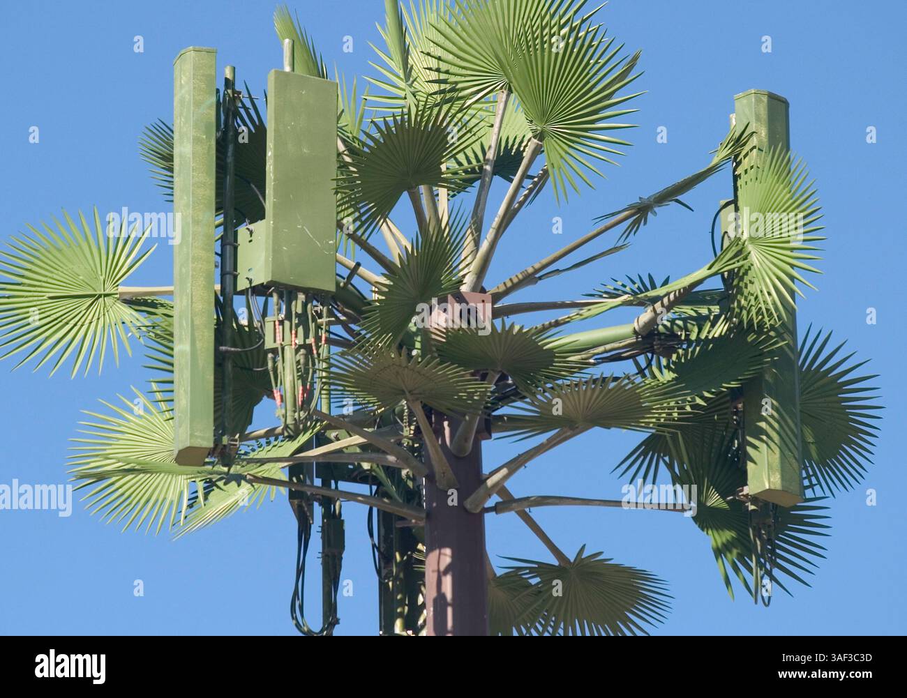 Jan 25, 2005; San Bernardino, CA, USA; Cell phone tower disguised as a ...