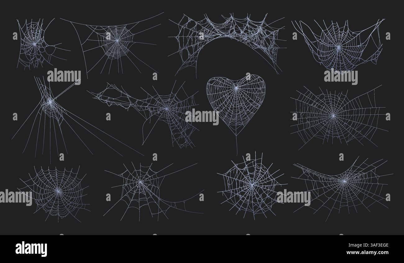 Spooky halloween old cobweb with various sizes and shapes. Old spider ...
