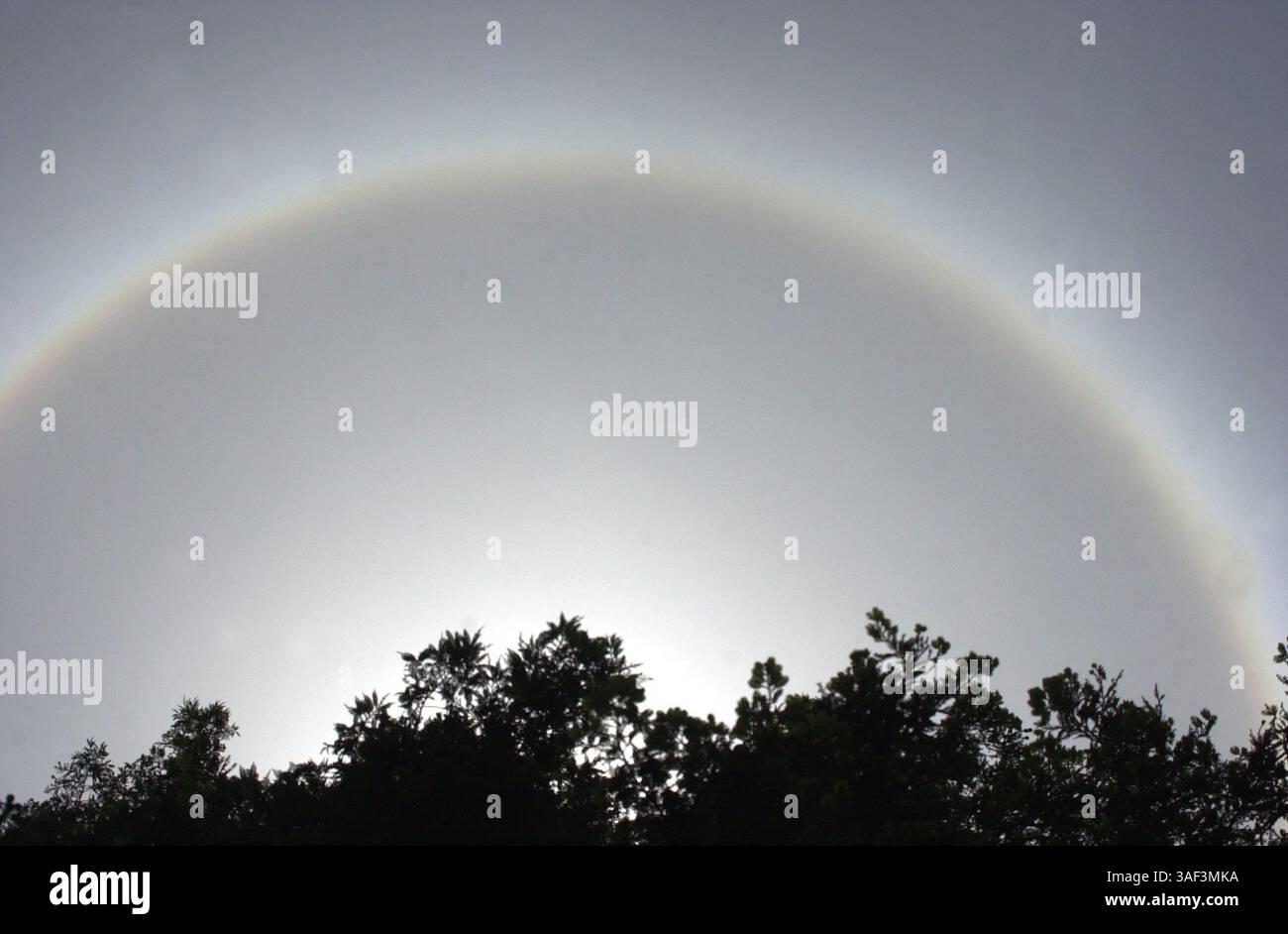 Jun 03, 2002; San Francisco, CA, USA; This is my Mystery photo of a ...