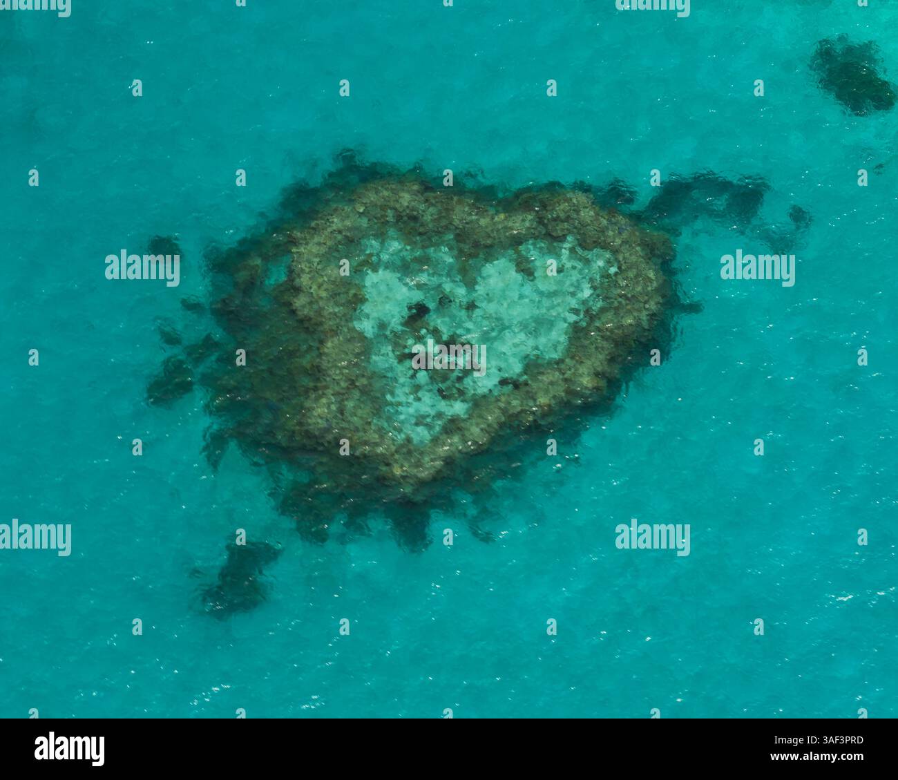 Heart Reef: A Heart-Shaped Wonder in Australia's Great Barrier Reef ...
