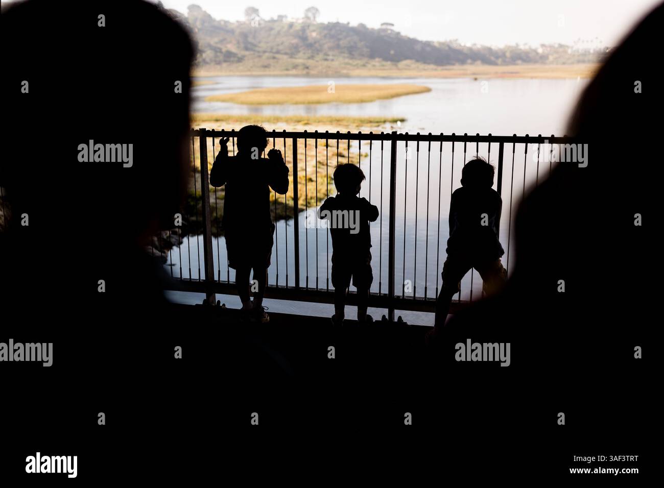Silhouette of Three Boys on Bridge in San Diego Stock Photo - Alamy