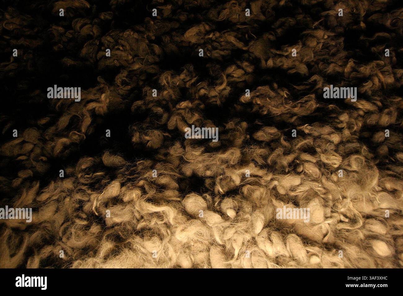 Dec 31, 2005; Krakow, POLAND; When Soviet troops liberated Auschwitz in ...