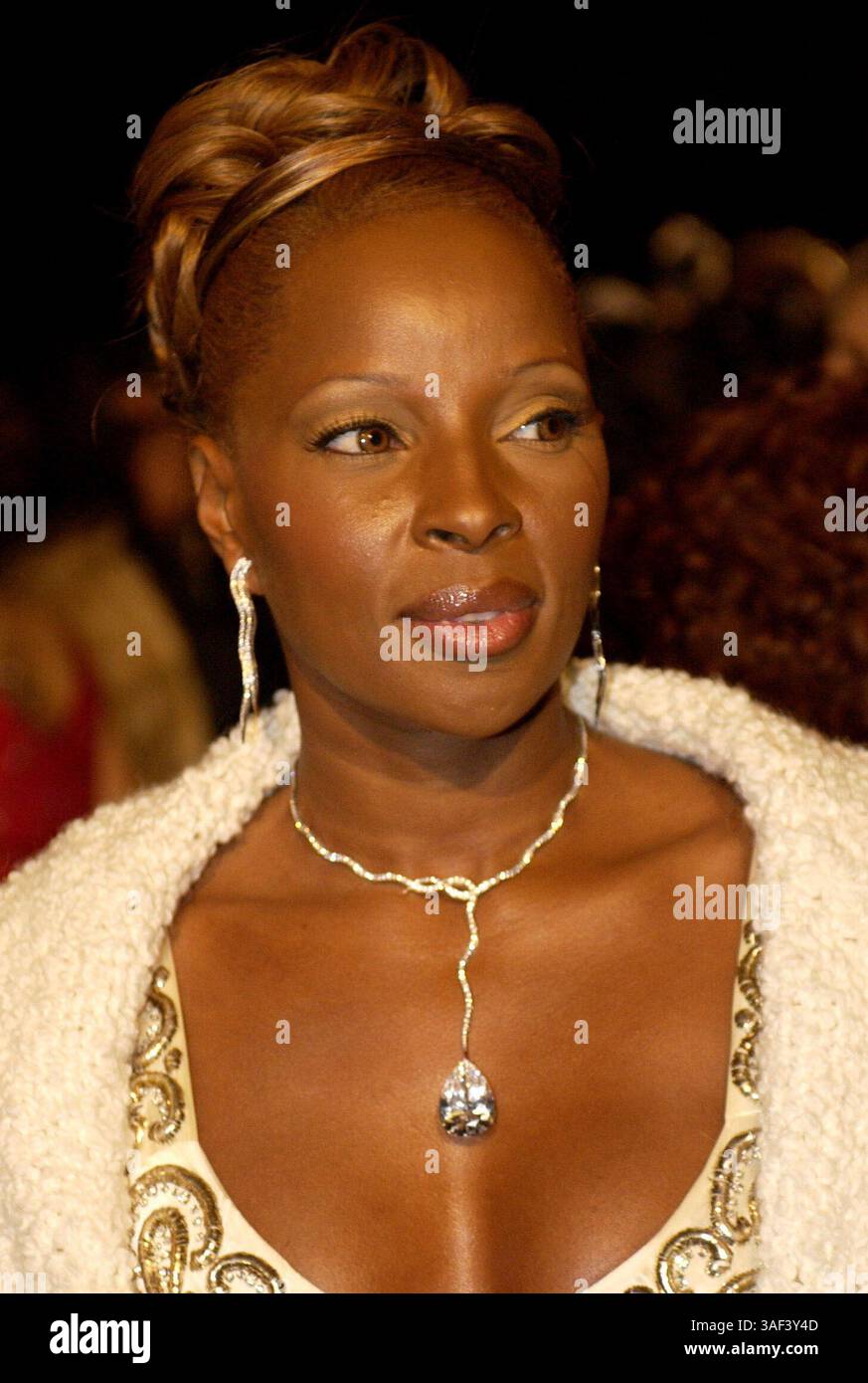 Feb 27, 2005; Los Angeles, CA, USA; MARY J. BLIGE at the Vanity Fair ...