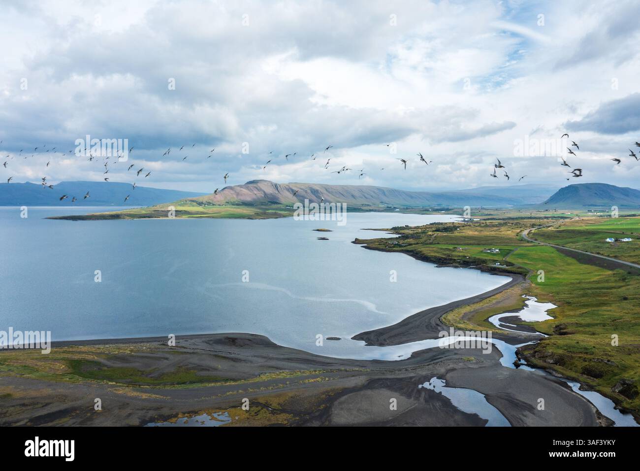 Aerial shot over flock birds hi-res stock photography and images - Alamy