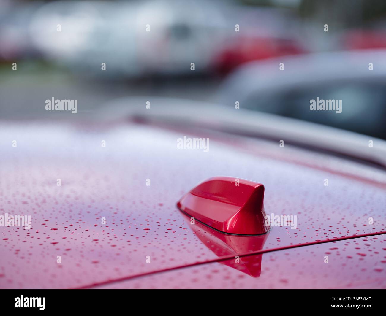 Red car shark fin antenna on wet surface Stock Photo - Alamy